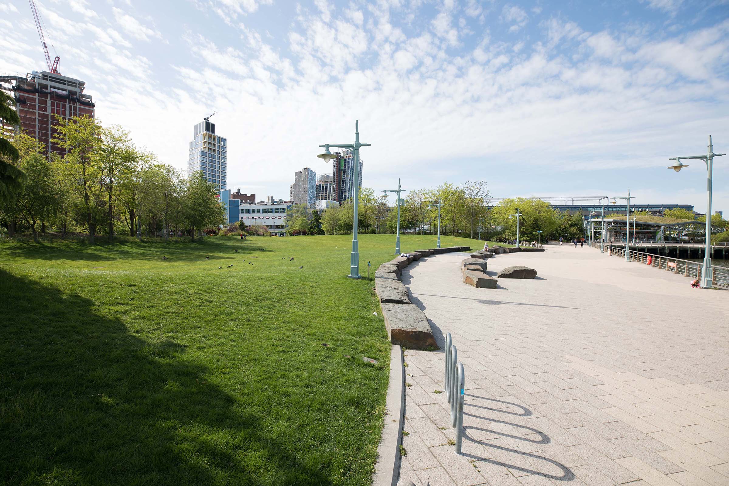 Some TLC for our Pier 63 Lawn — Hudson River Park