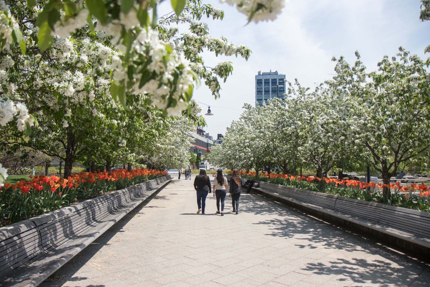Advisory Council — Hudson River Park