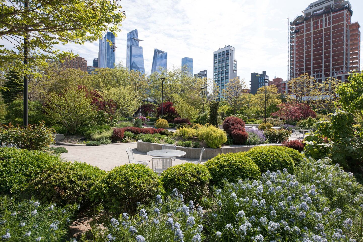 Gardens & Trees — Hudson River Park