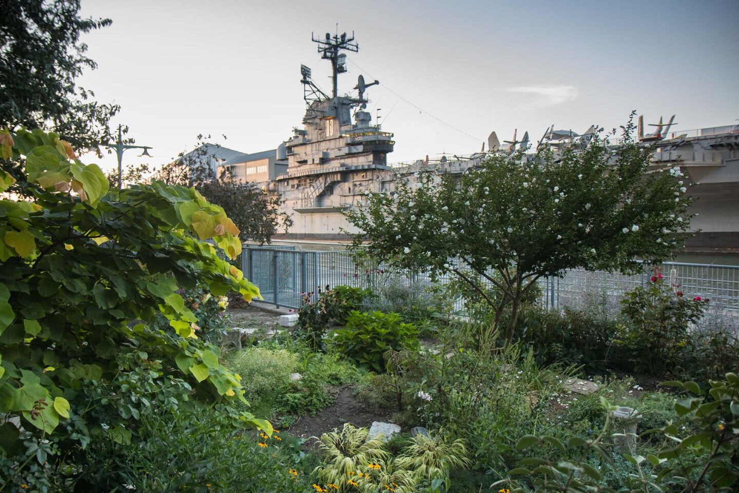 Pier 84 Community Garden — Hudson River Park