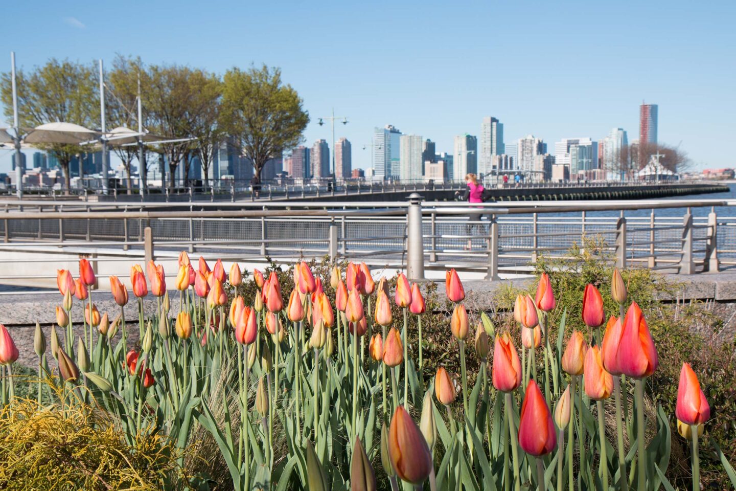 Gardens — Hudson River Park