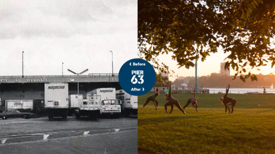 Waterfront Transformation — Hudson River Park