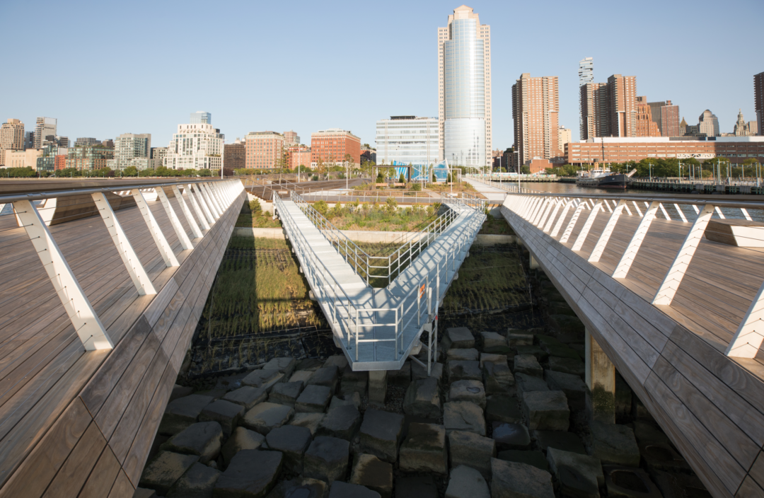 Building Comradery and Stewardship through Volunteerism — Hudson River Park