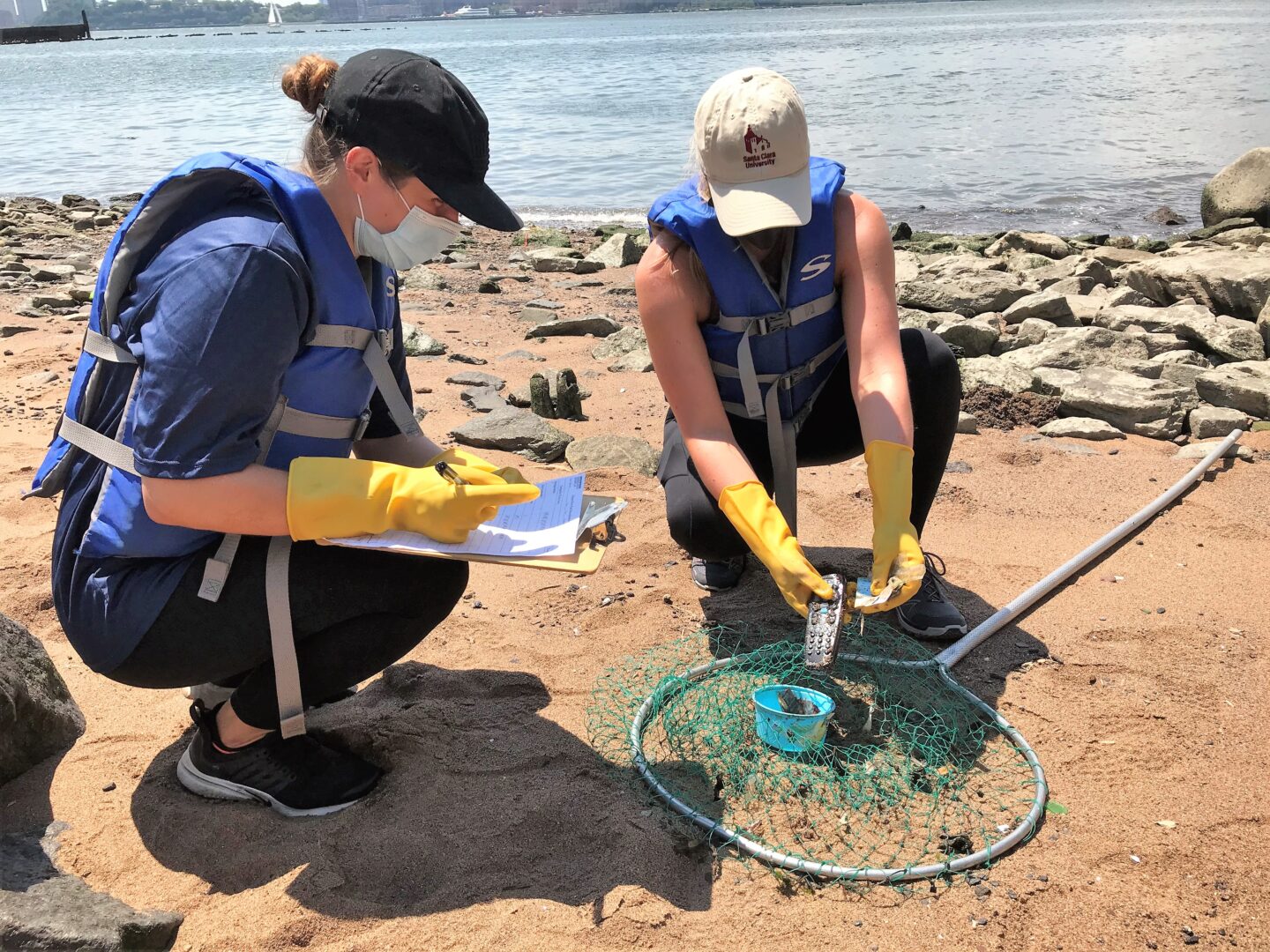 Examining the Impact of Park Over Plastic — Hudson River Park