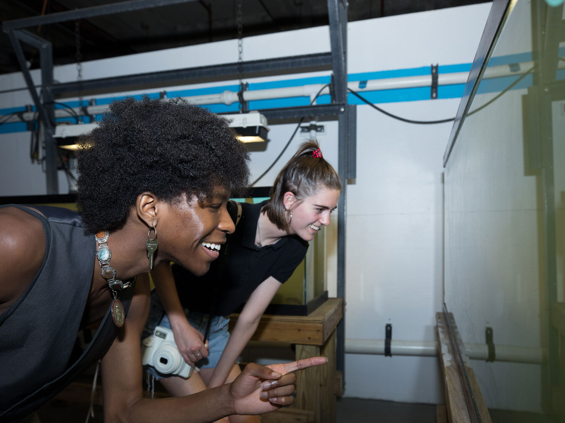 Wetlab Look-ins — Hudson River Park