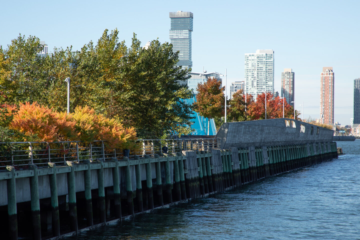 Experience Peak Fall Beauty in the Park — Hudson River Park