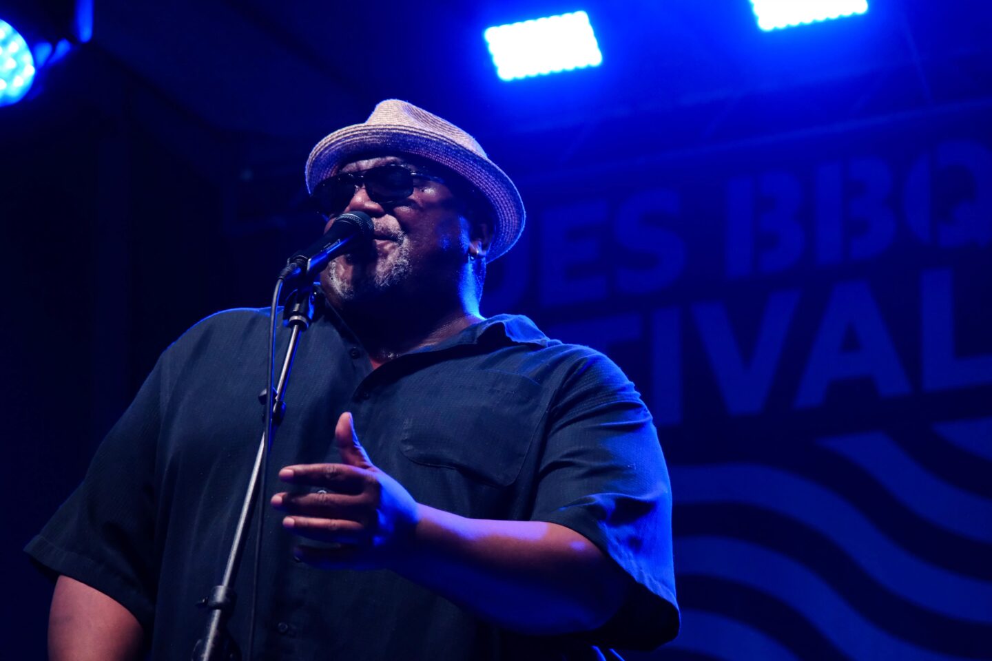 Blues BBQ Festival — Hudson River Park
